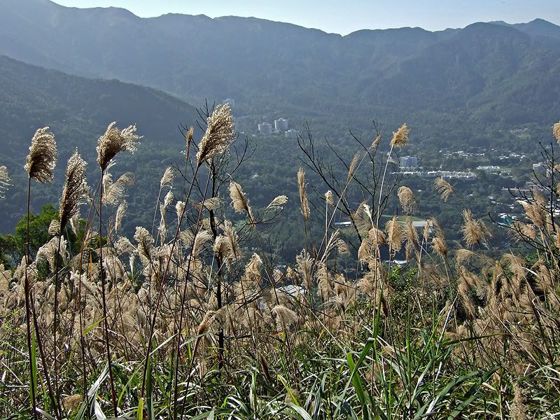 Hiking with F30 - part 1 | DPReview Forums